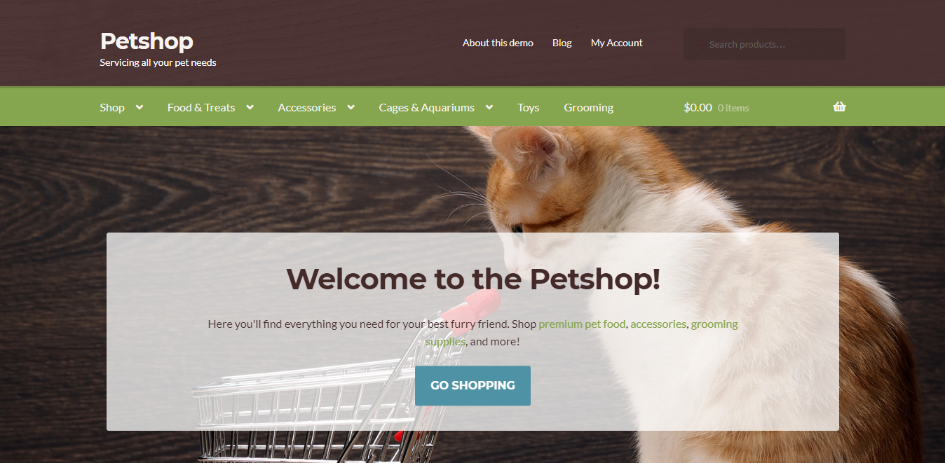 Best WooCommerce Themes of 2022 - Top 20 Themes For Your e-Store